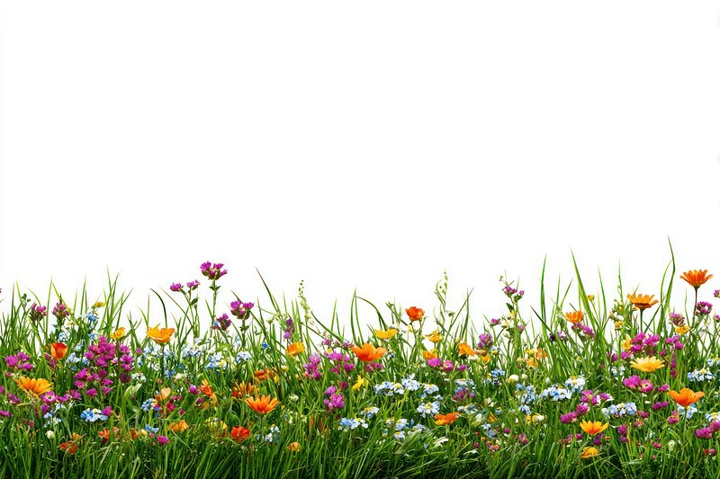 Photo+file Design Background Images | Free Photos, PNG Stickers ...