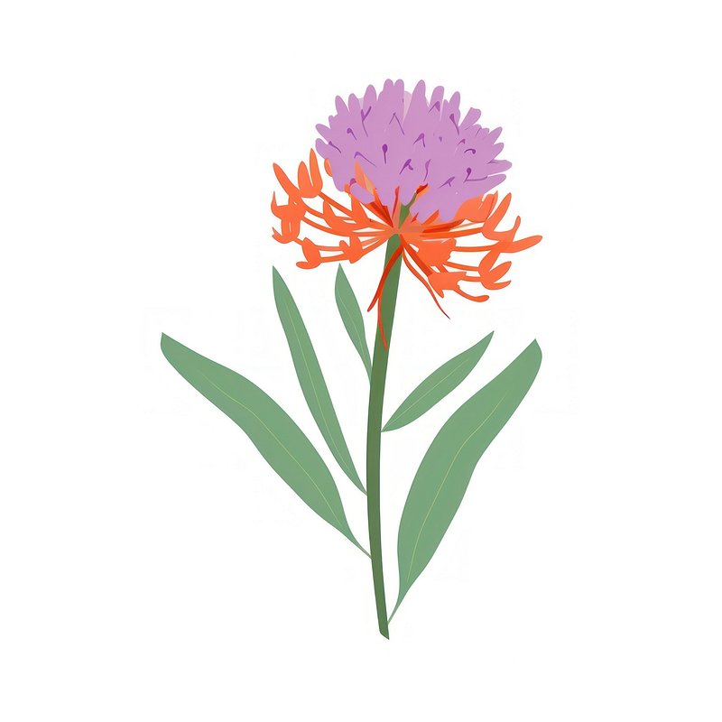 Images+of+butterfly+drawing Design Images | Free Photos, PNG Stickers ...