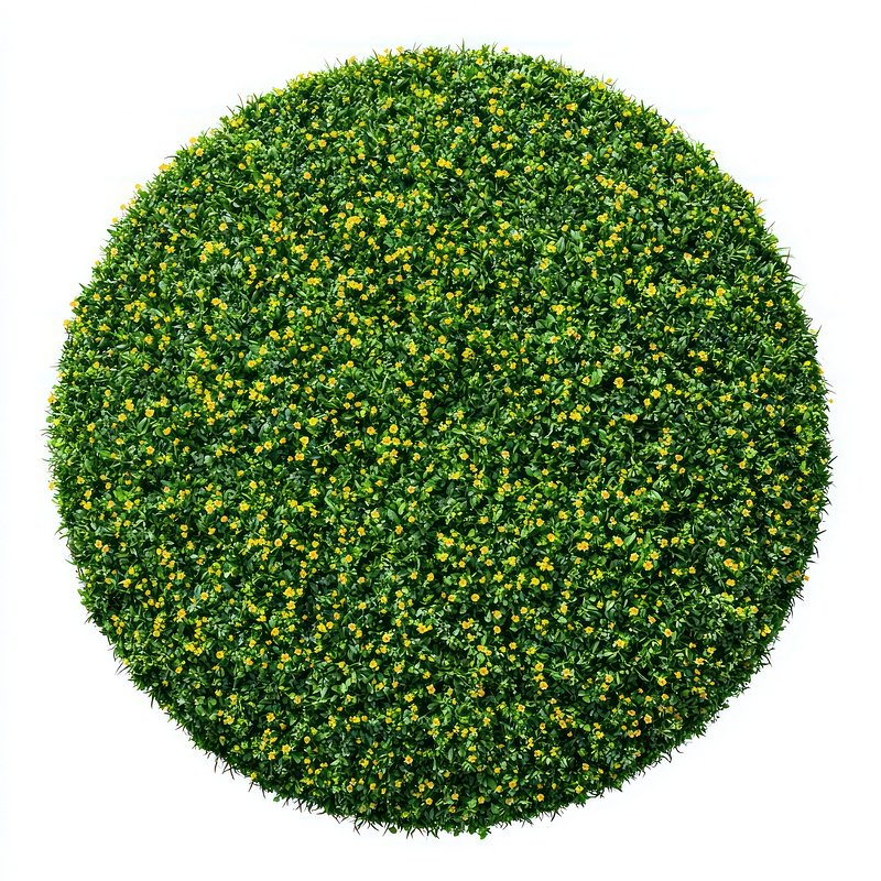 Png+home Design Element Images | Free Photos, PNG Stickers, Wallpapers ...