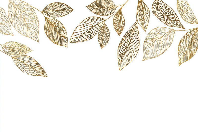 Line+and+space+pattern Border Transparent Images | Free Photos, PNG ...