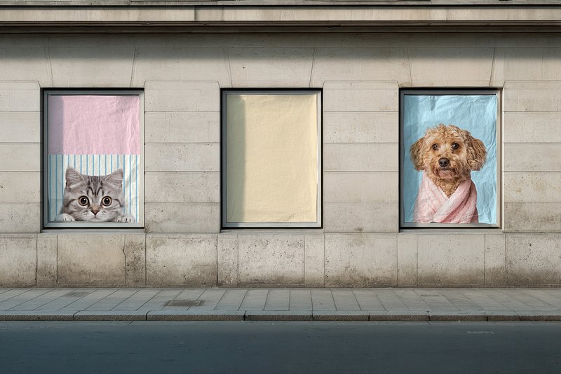 Building Perspective Architecture Street Images | Free Photos, PNG ...