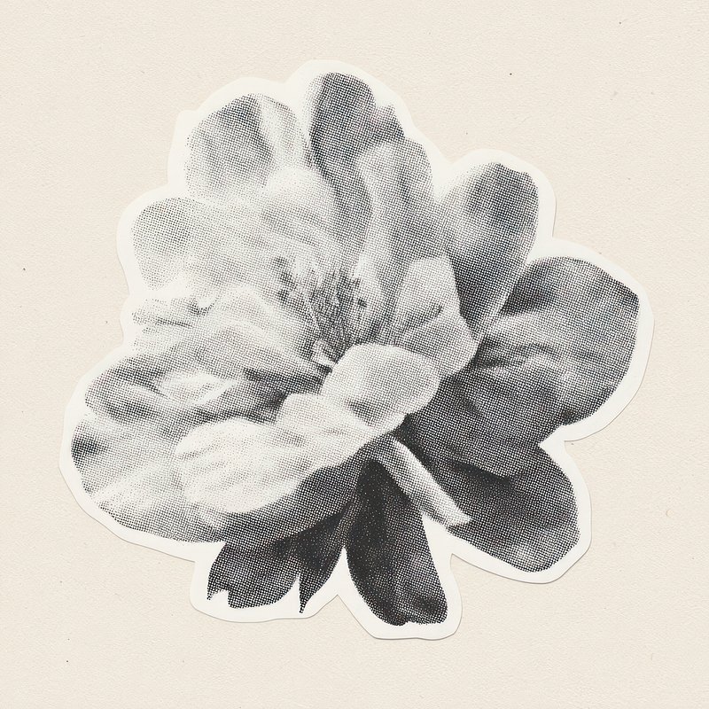 Outline Flowers Illustrated Images | Free Photos, PNG Stickers ...