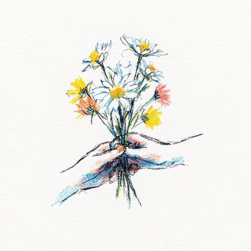 Black And White Pencil Drawing Transparent Sketch Images | Free Photos ...