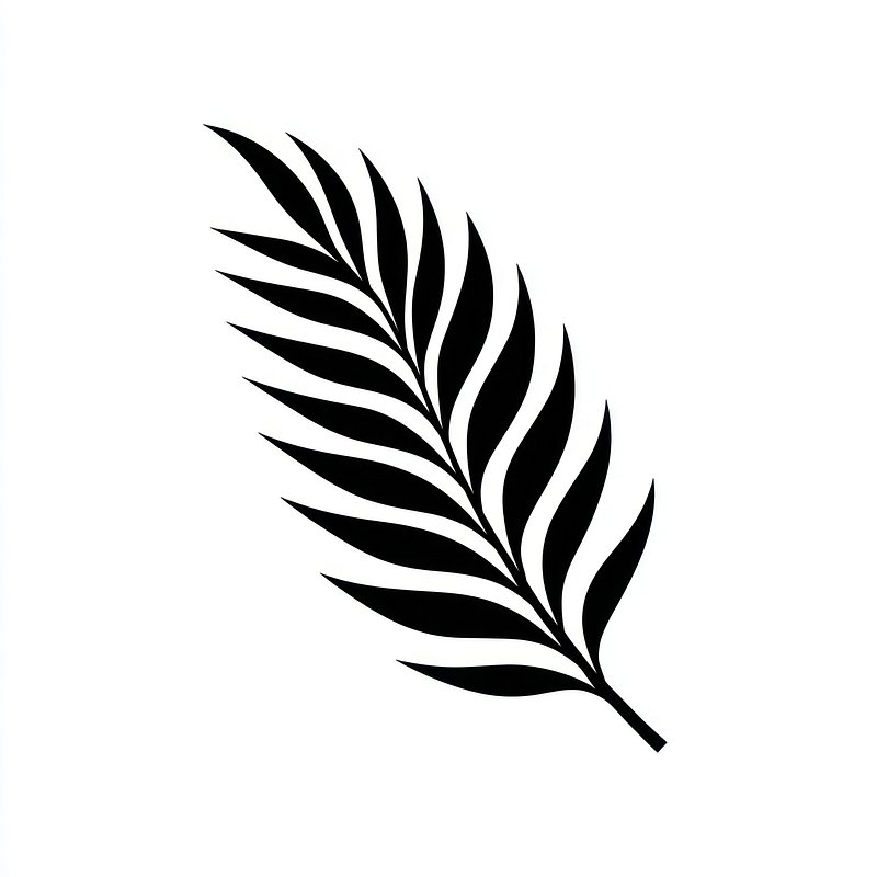 Aesthetic Icons Black Texture Minimal Design Images | Free Photos, PNG ...