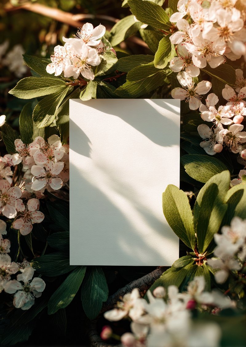 Background+image+settings Texture Images | Free Photos, PNG Stickers ...