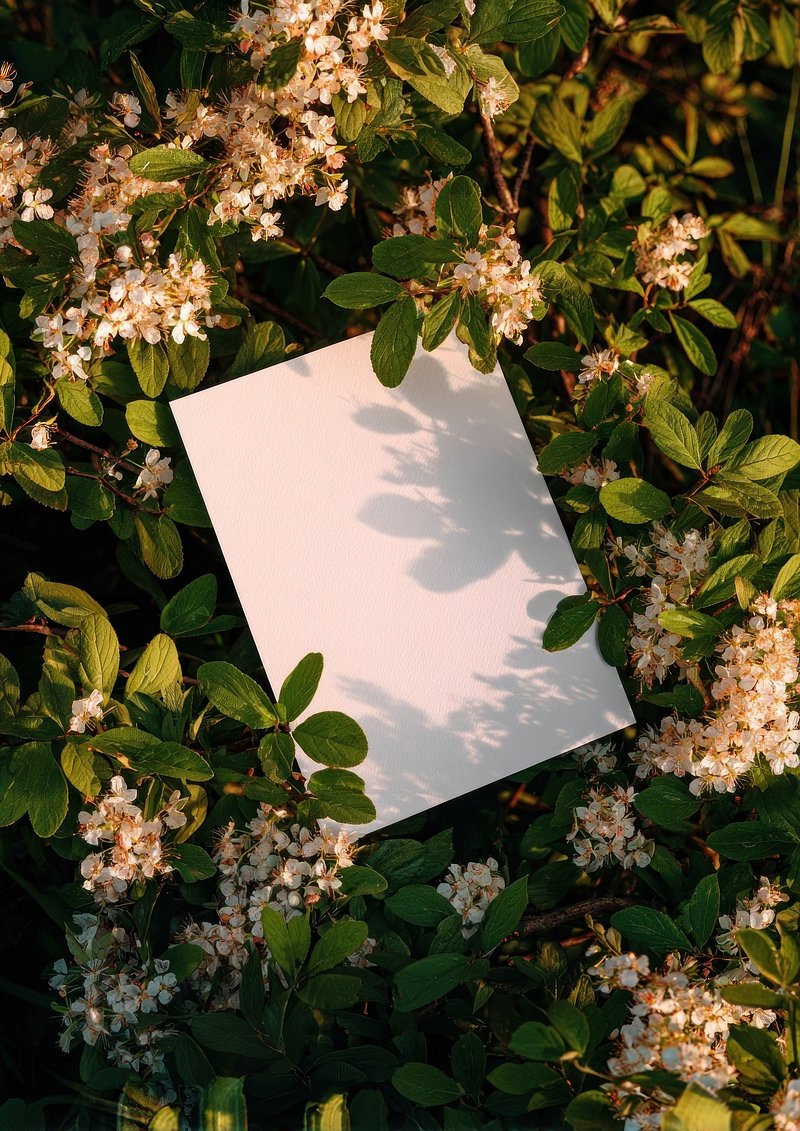 White Sheet JPG Paper Texture Images | Free Photos, PNG Stickers ...