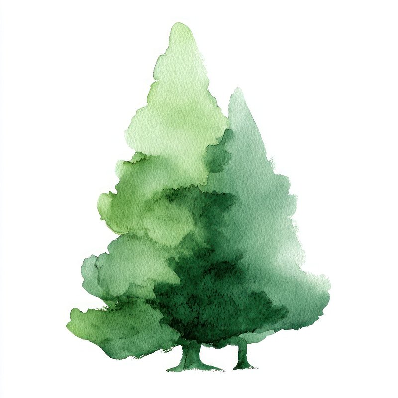 Tree Pine Isolated Images | Free Photos, PNG Stickers, Wallpapers & Backgrounds - rawpixel