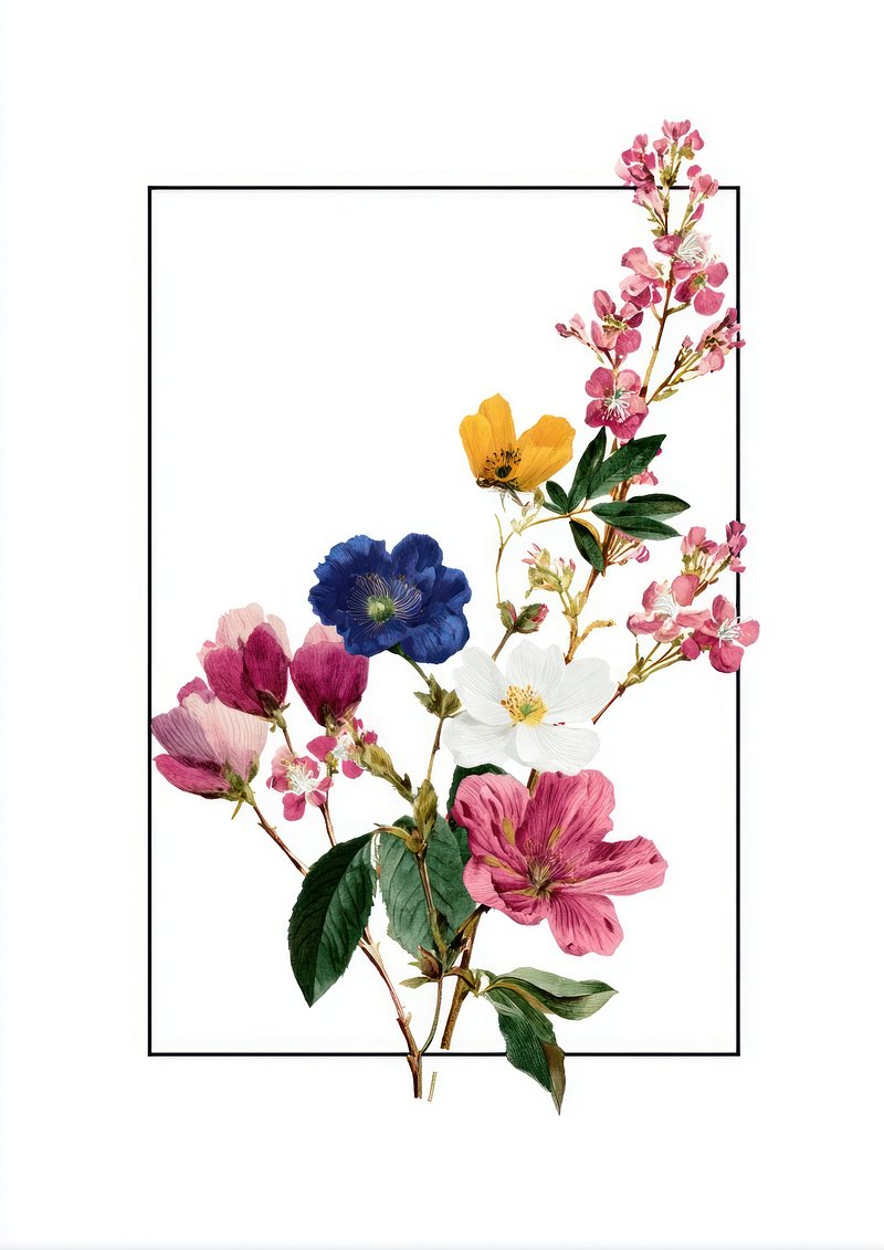 Beautiful Frames Vintage Flowers Floral Art Images | Free Photos, PNG ...