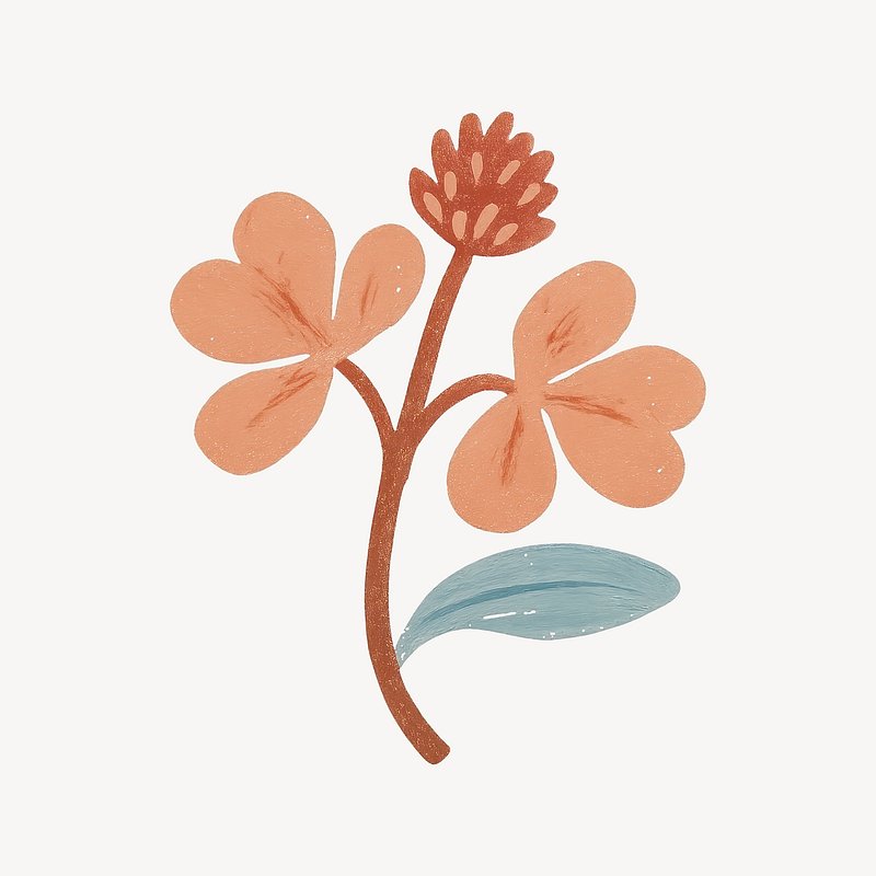 Vintage Dry Flower PNG Cute Texture Images | Free Photos, PNG Stickers ...
