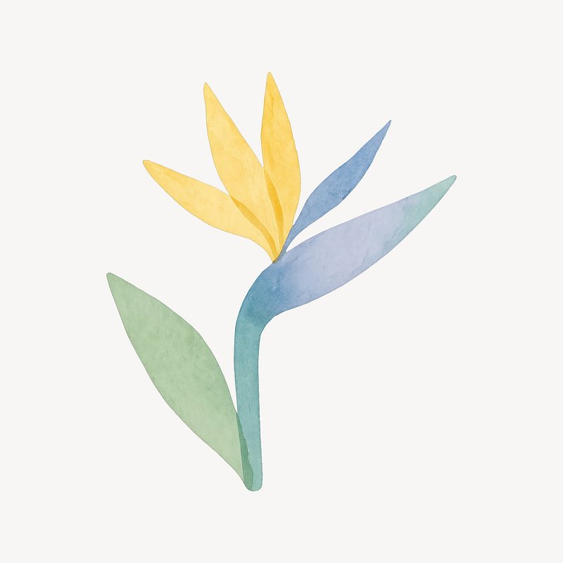 Bird Floral Yellow Shadow Images | Free Photos, PNG Stickers ...