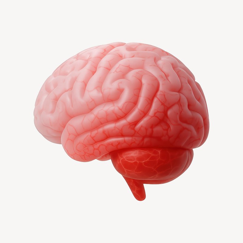 PNG Studying Transparent Texture Study Light Images | Free Photos, PNG ...