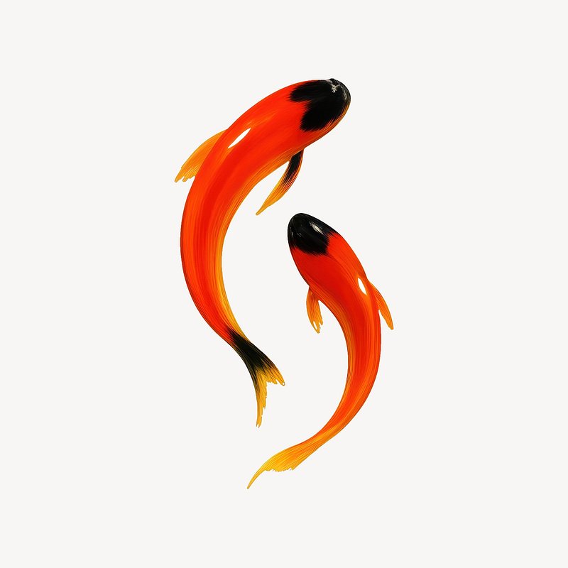 Elegant Fish PNG Images | Free Photos, PNG Stickers, Wallpapers ...