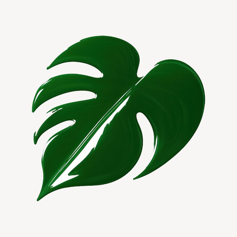 Photography Plant Botanical Design Shadow Art Images | Free Photos, PNG ...