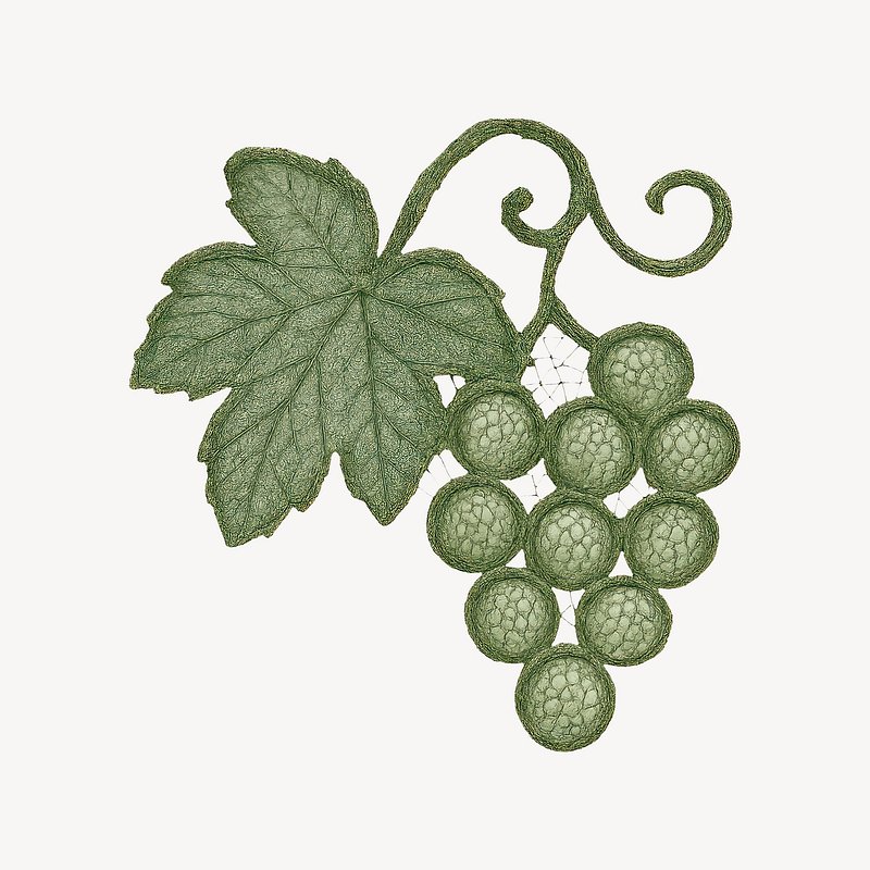 Project+leaf Isolated Images | Free Photos, PNG Stickers, Wallpapers ...