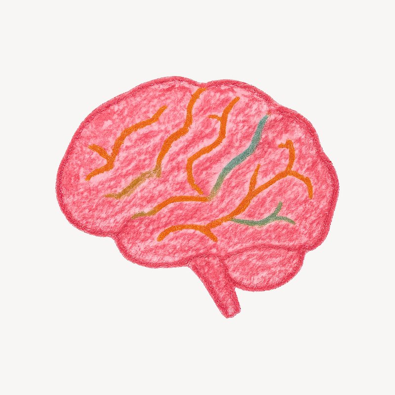 Human+icon+color Design Images | Free Photos, PNG Stickers, Wallpapers ...