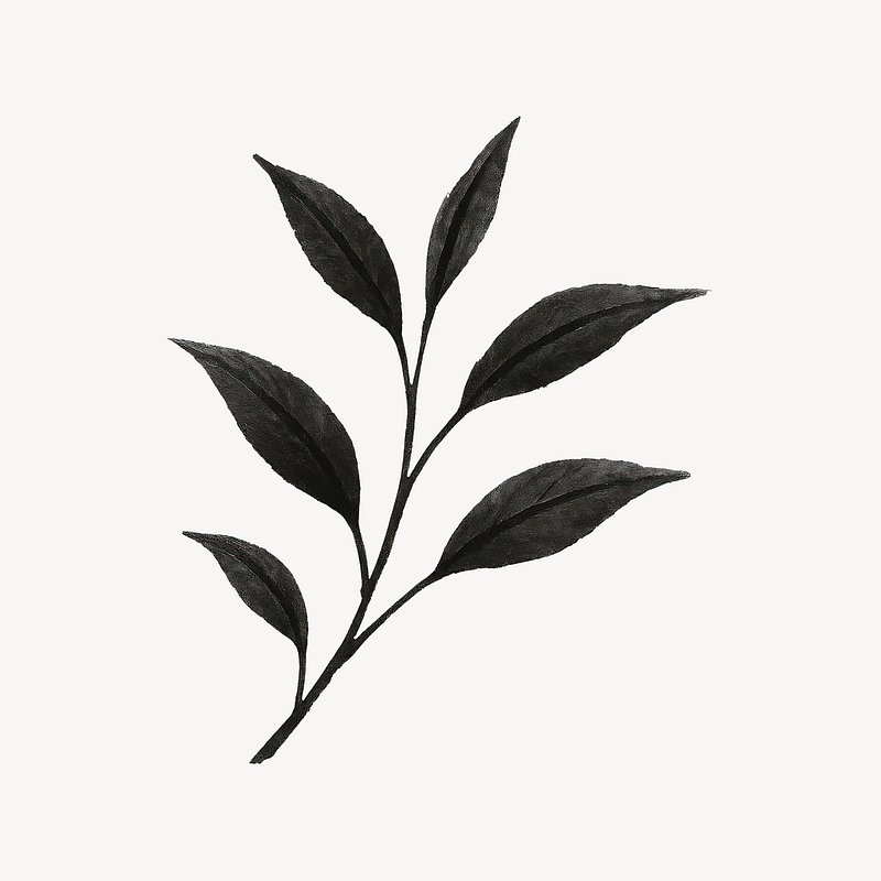 Ink Drawings Sketch Images | Free Photos, PNG Stickers, Wallpapers ...