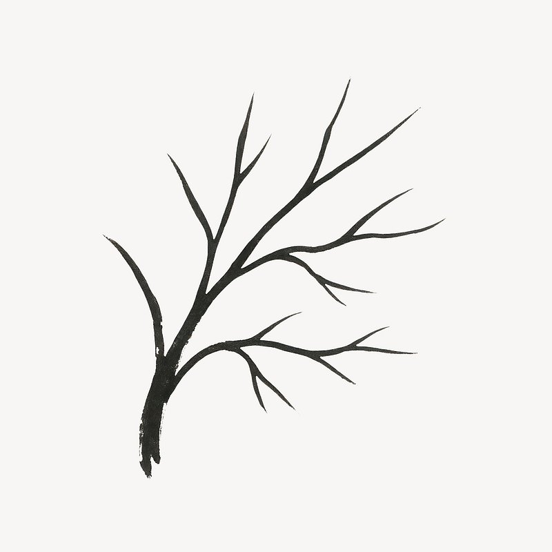 Png Tree Drawing Branch Sketch Images | Download Free Design Resources ...