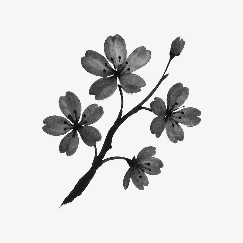 Painting Cherries Transparent Images | Free Photos, PNG Stickers ...