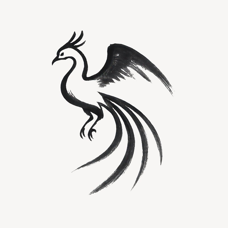 Phoenix Bird Isolated Transparent Images | Free Photos, PNG Stickers ...