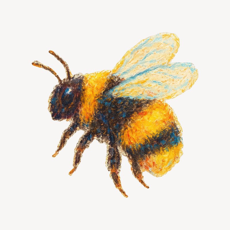 Cute Nature Transparent Images | Free Photos, PNG Stickers, Wallpapers ...