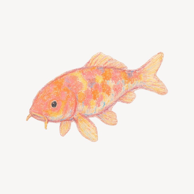 Drawing+of+live Fish Isolated Cartoon Images | Free Photos, PNG ...