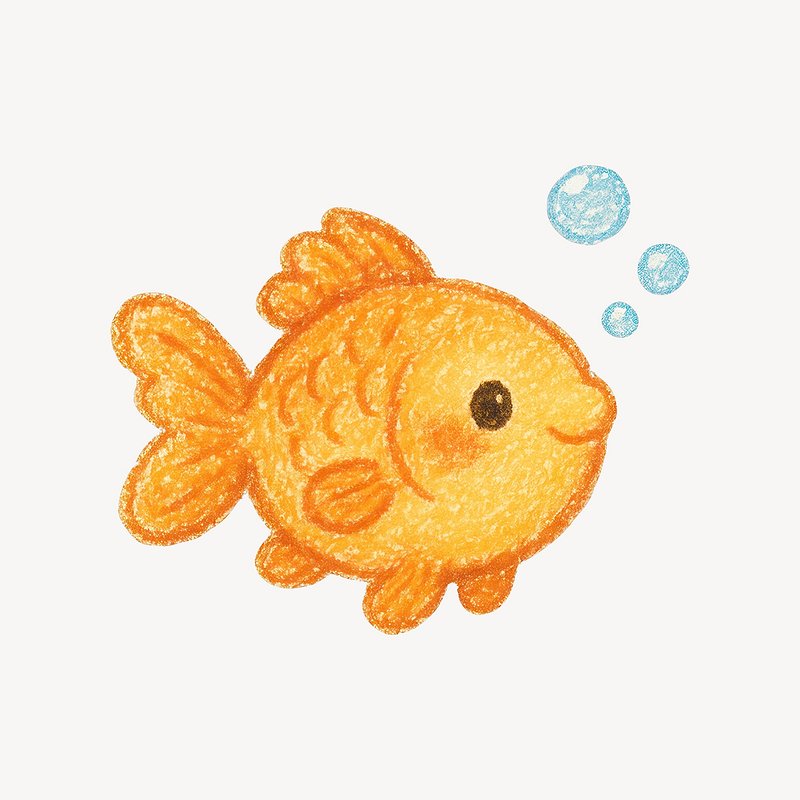 Transparent Background Water Images | Free Photos, PNG Stickers ...