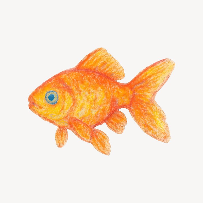 Fish+cartoon+images Texture Images | Free Photos, PNG Stickers ...