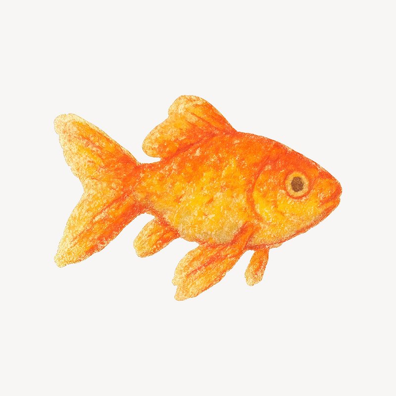 Orange Goldfish Cartoon Shadow Images | Free Photos, PNG Stickers ...