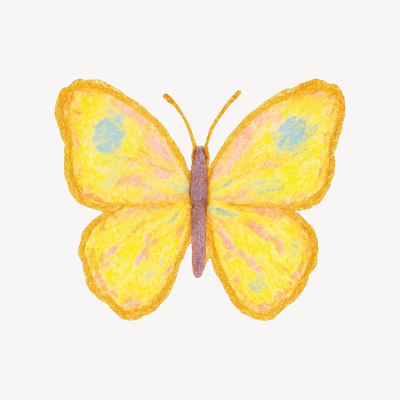 Images+of+butterfly+drawing PNG Images | Free Photos, PNG Stickers ...