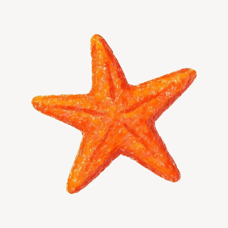 A Starfish Animal Images | Free Photos, PNG Stickers, Wallpapers ...