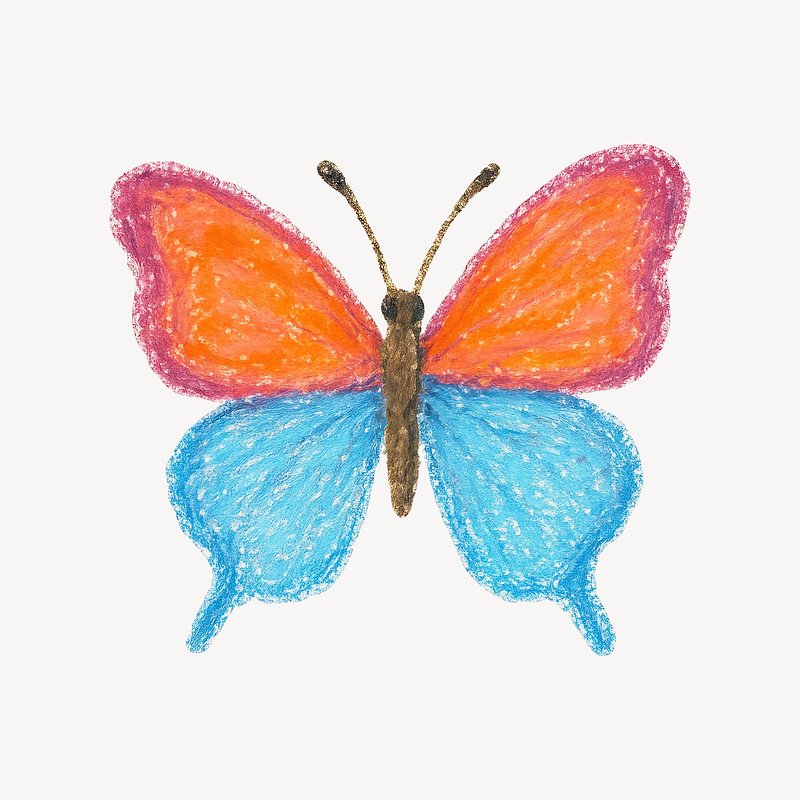 Images+of+butterfly+drawing PNG Images | Free Photos, PNG Stickers ...