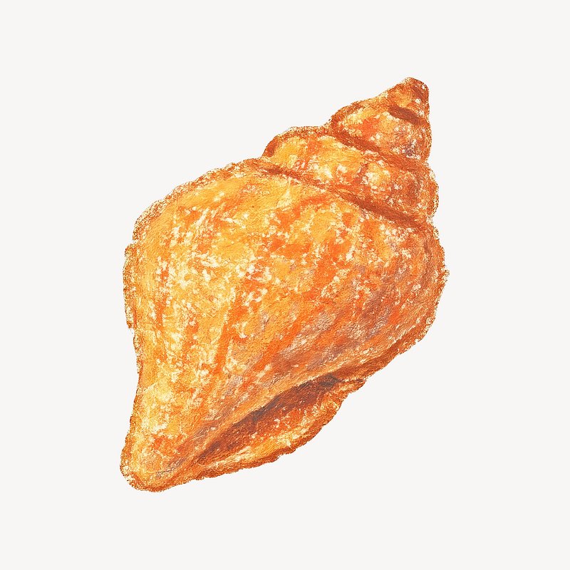 Images+beach Background Art Images | Free Photos, PNG Stickers ...