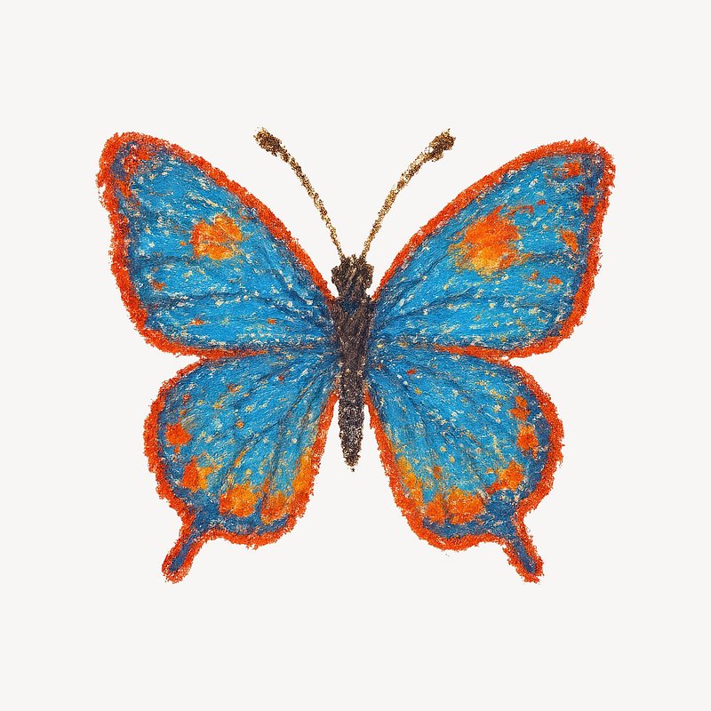 Images+of+butterfly+drawing PNG Images | Free Photos, PNG Stickers ...