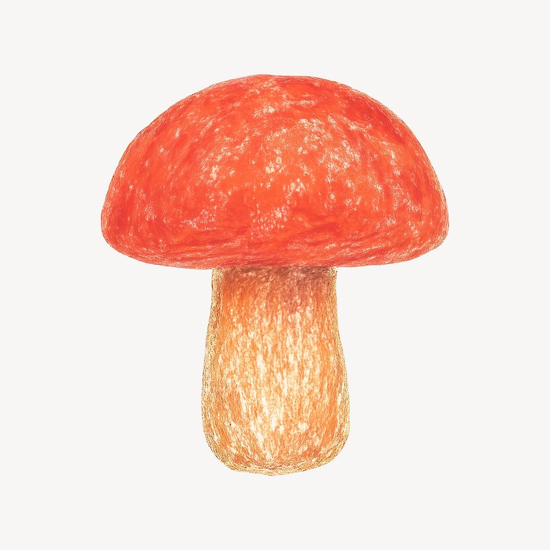 Cap PNG Cartoon Images | Free Photos, PNG Stickers, Wallpapers ...