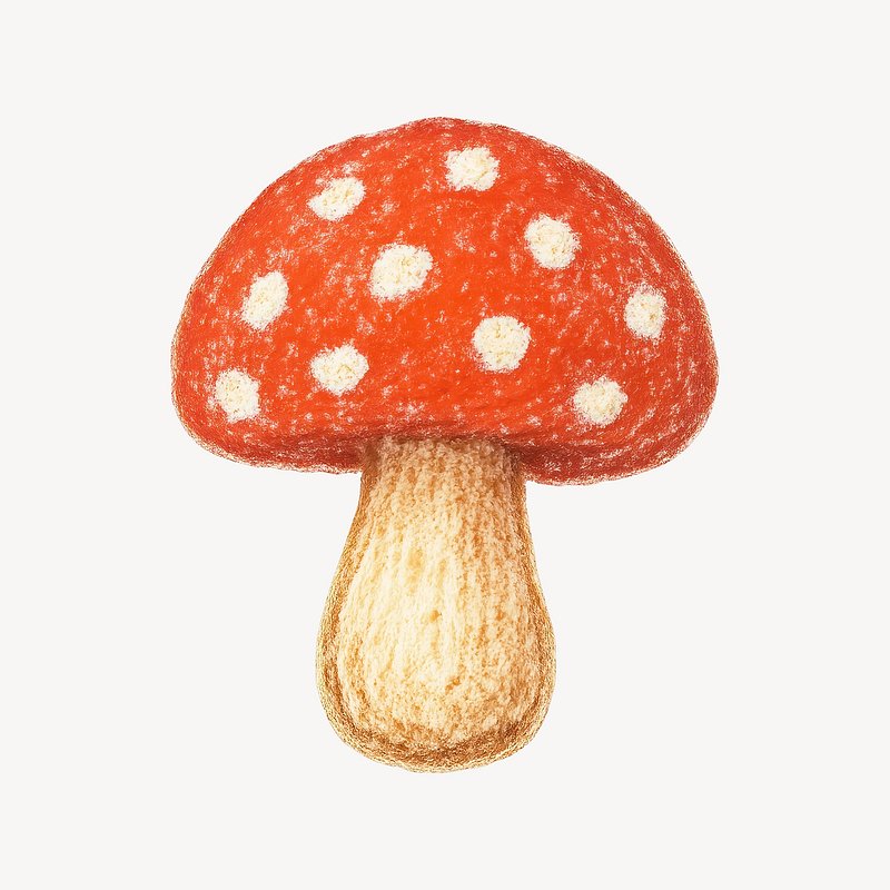 Mushroom+design Shadow Images | Free Photos, PNG Stickers, Wallpapers ...