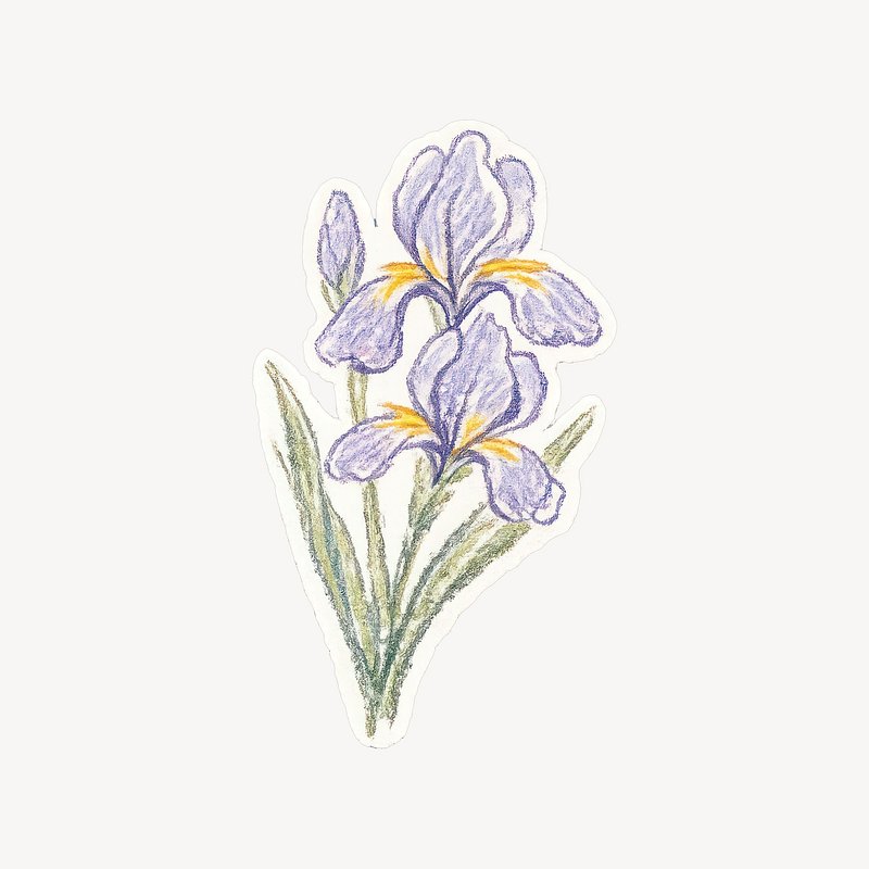 Purple Iris Aesthetic Background Images | Download Free Design ...