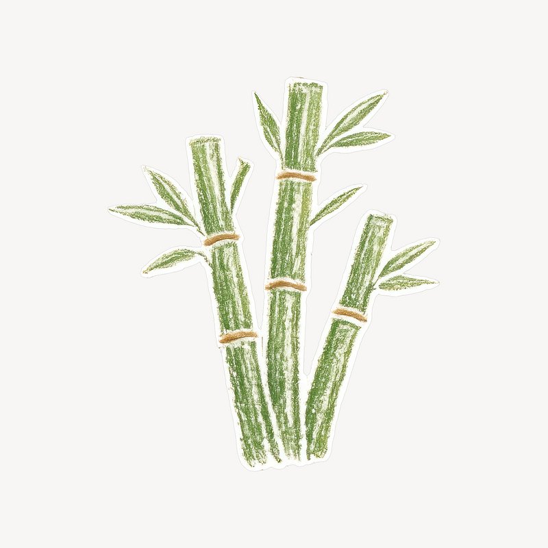 Bamboo Stalks PNG Images | Free Photos, PNG Stickers, Wallpapers ...
