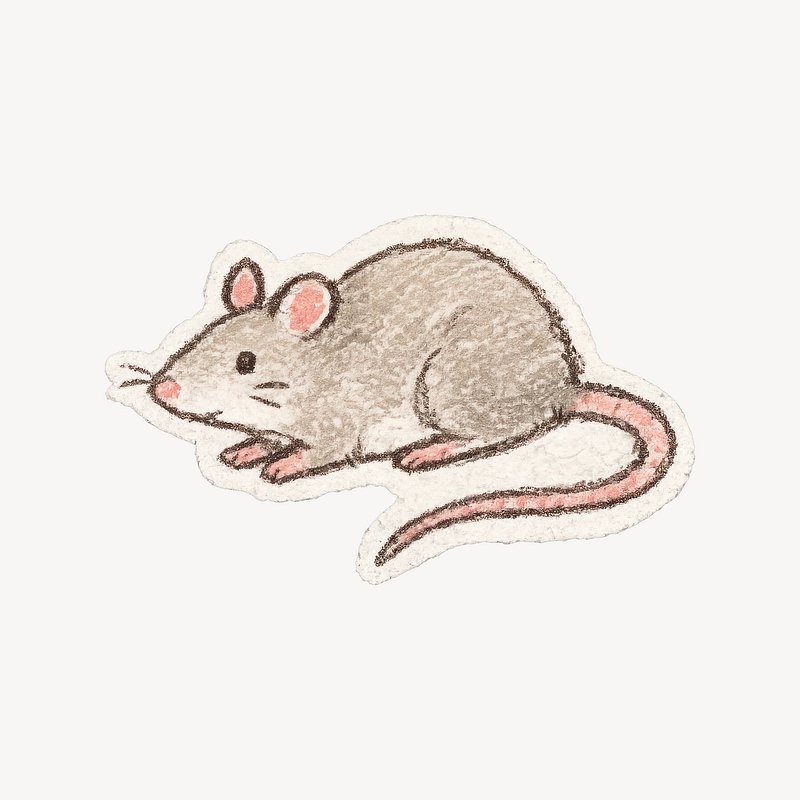 Mouse Image Cartoon PNG Texture Images | Free Photos, PNG Stickers ...