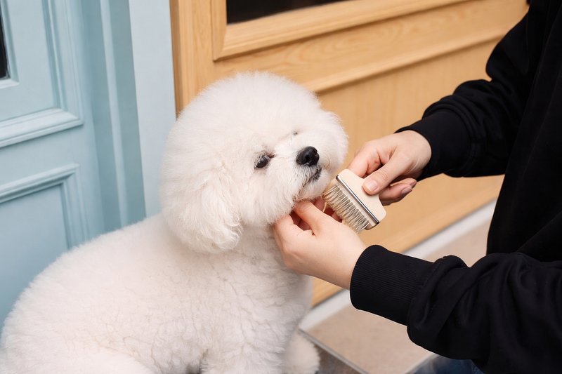 Care Black And White Photo Images | Free Photos, PNG Stickers ...