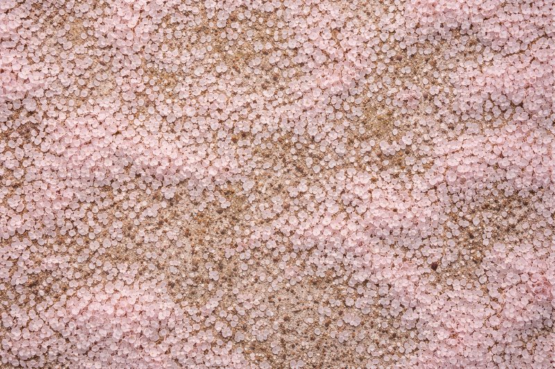 Cherries+desktop+wallpaper Sky Pink Images | Free Photos, PNG Stickers ...