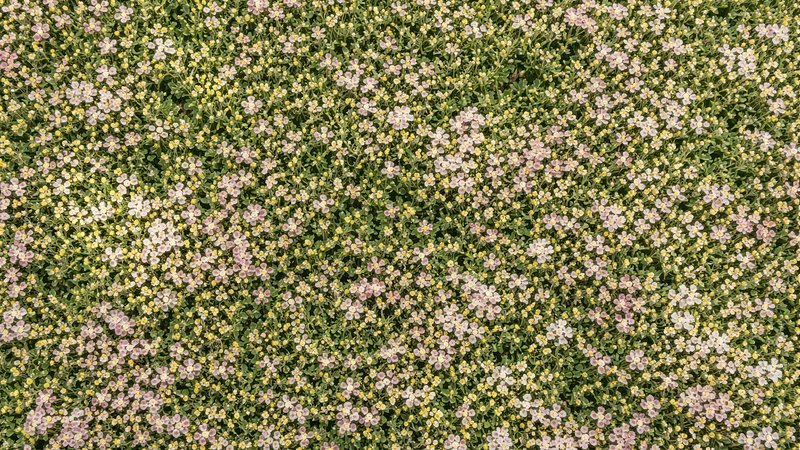 Desktop Pink Sky Wallpaper Patterns Shadows Images | Free Photos, PNG ...