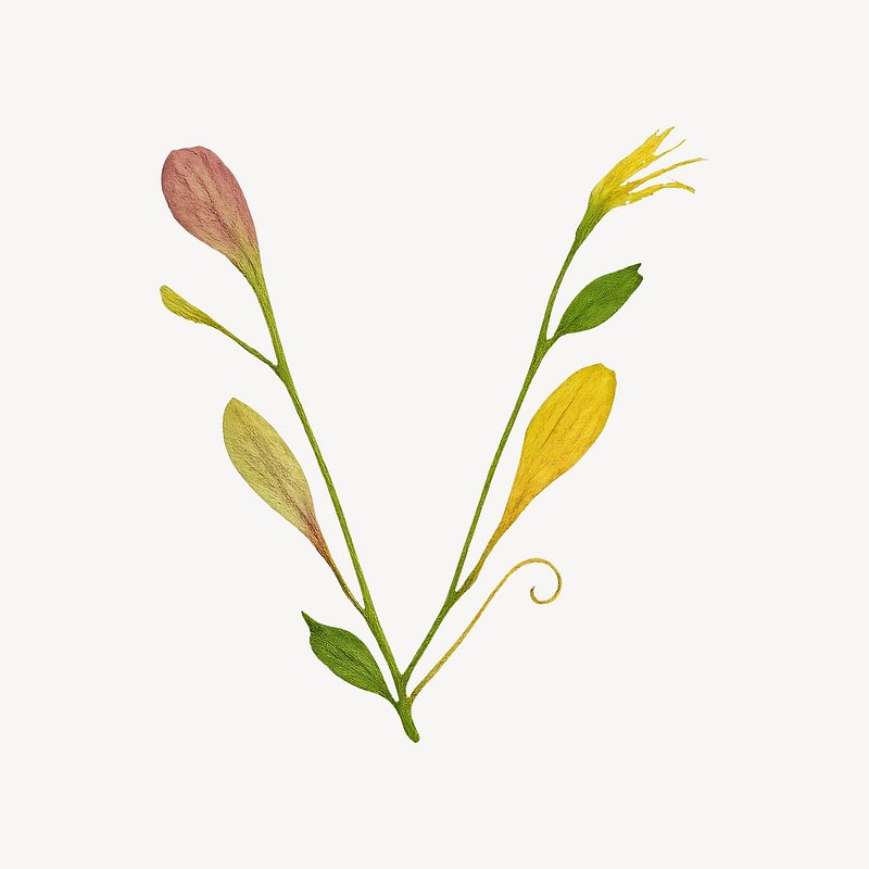 Images+v Art Images | Free Photos, PNG Stickers, Wallpapers ...