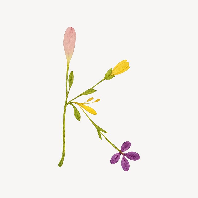 Flower+k Design Images | Free Photos, PNG Stickers, Wallpapers ...
