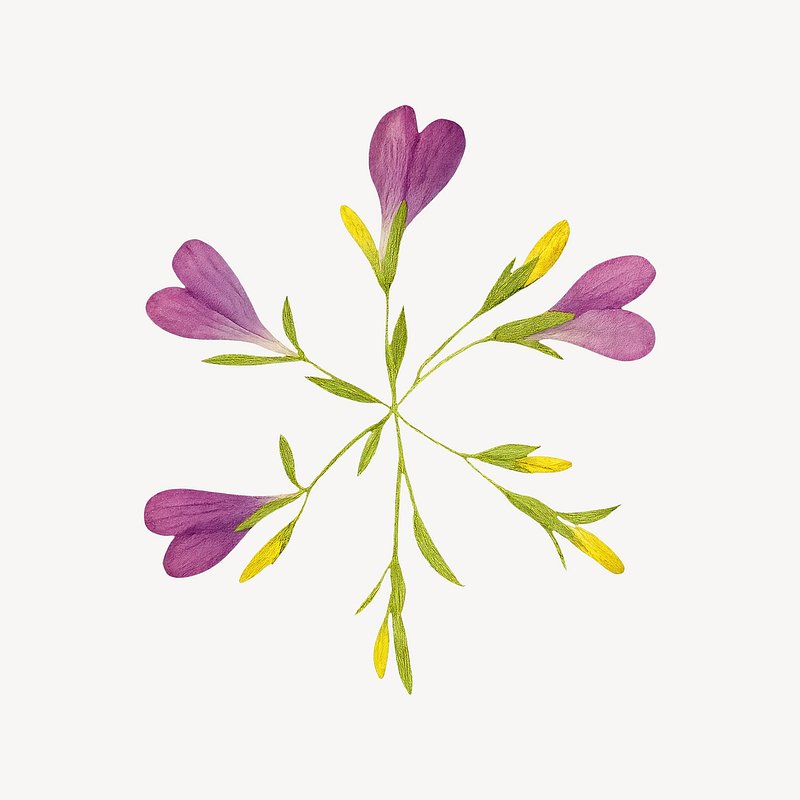 Floral+mandalas Design Images | Free Photos, PNG Stickers, Wallpapers ...