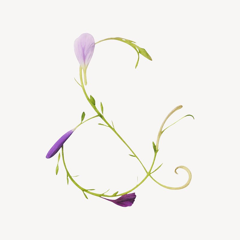 Cut Leaf PNG Texture Images | Free Photos, PNG Stickers, Wallpapers ...