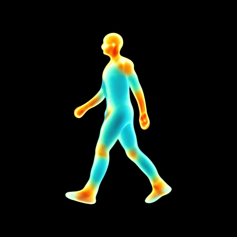 Silhouettes People Human Images | Free Photos, PNG Stickers, Wallpapers ...