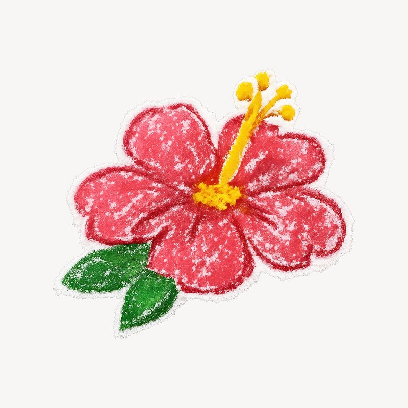 Plant Fibre Texture Images | Free Photos, PNG Stickers, Wallpapers ...