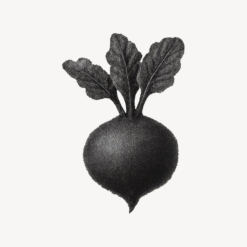 Beetroot Vegetable Design Images | Free Photos, PNG Stickers ...