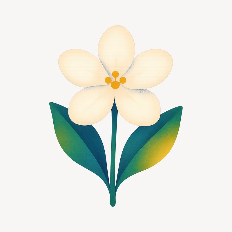 Flowers Simple Drawing Shadow PNG Images | Free Photos, PNG Stickers ...