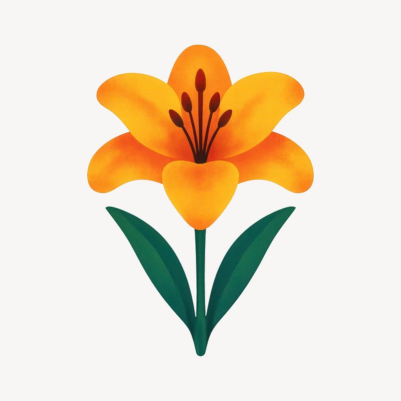Lilies Orange Color Design Images | Free Photos, PNG Stickers ...
